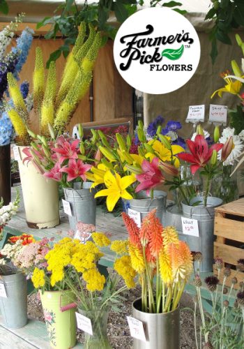 Farmer's Pick™ | fresh cut Flower Farm - Boise, Idaho USA